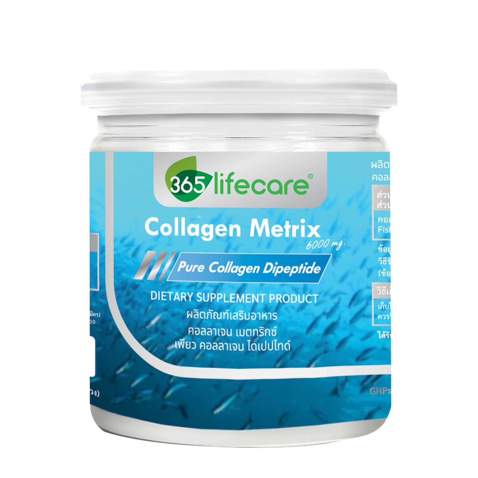Collagen Matrix – 365lifecare